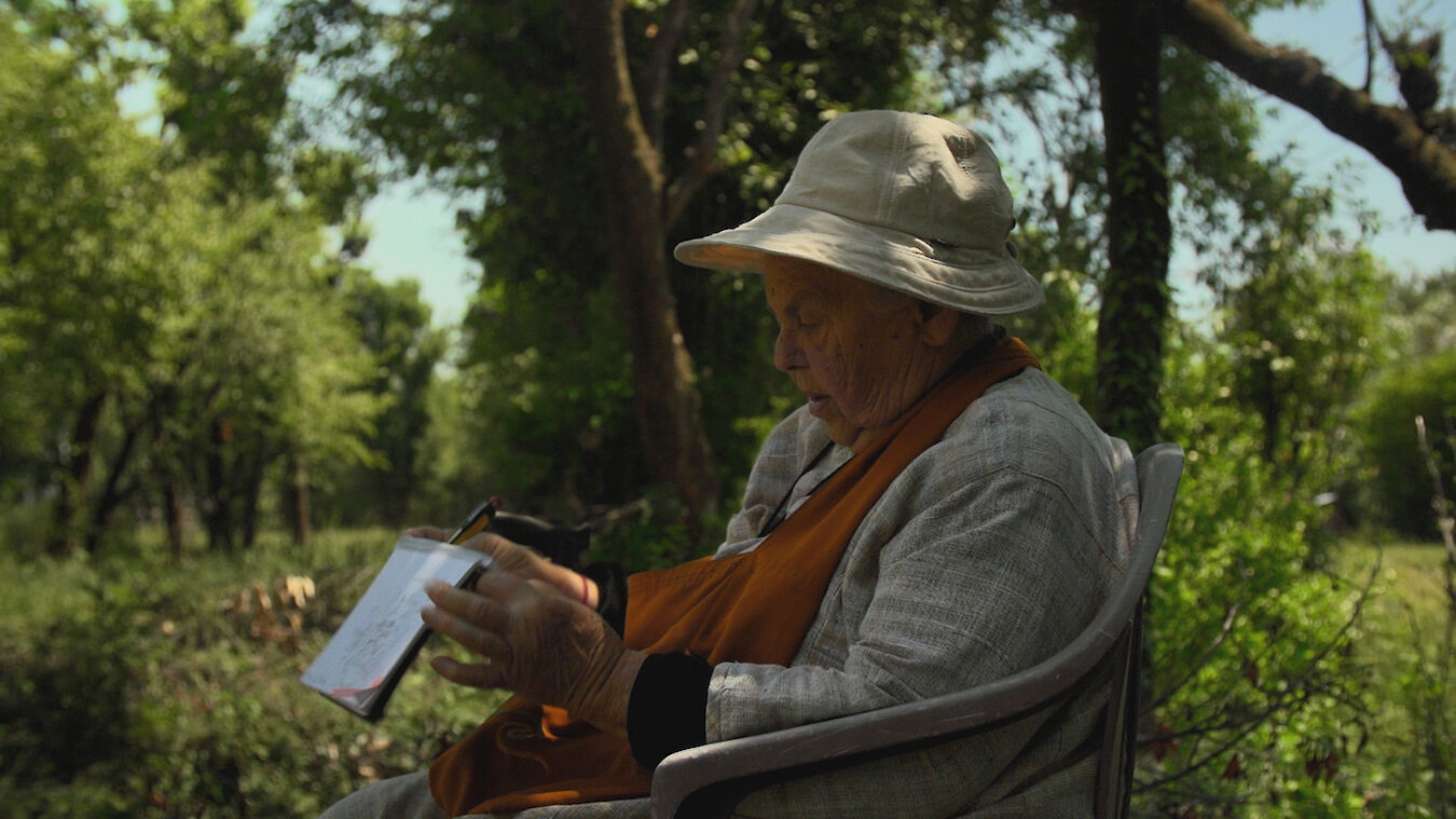 Didi Contractor – Marrying the Earth to the Building | NaturVision