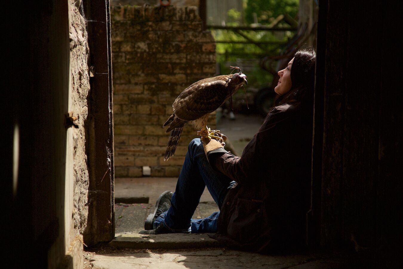 H is for Hawk: A New Chapter | NaturVision